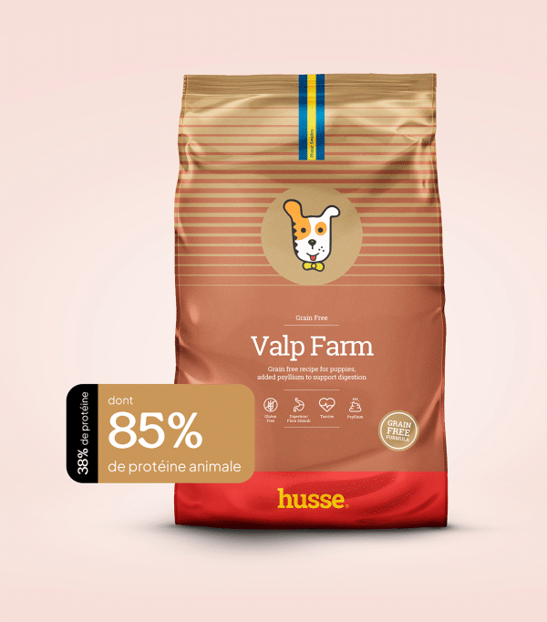 Croquettes pour Chien Livrées à Domicile - Husse