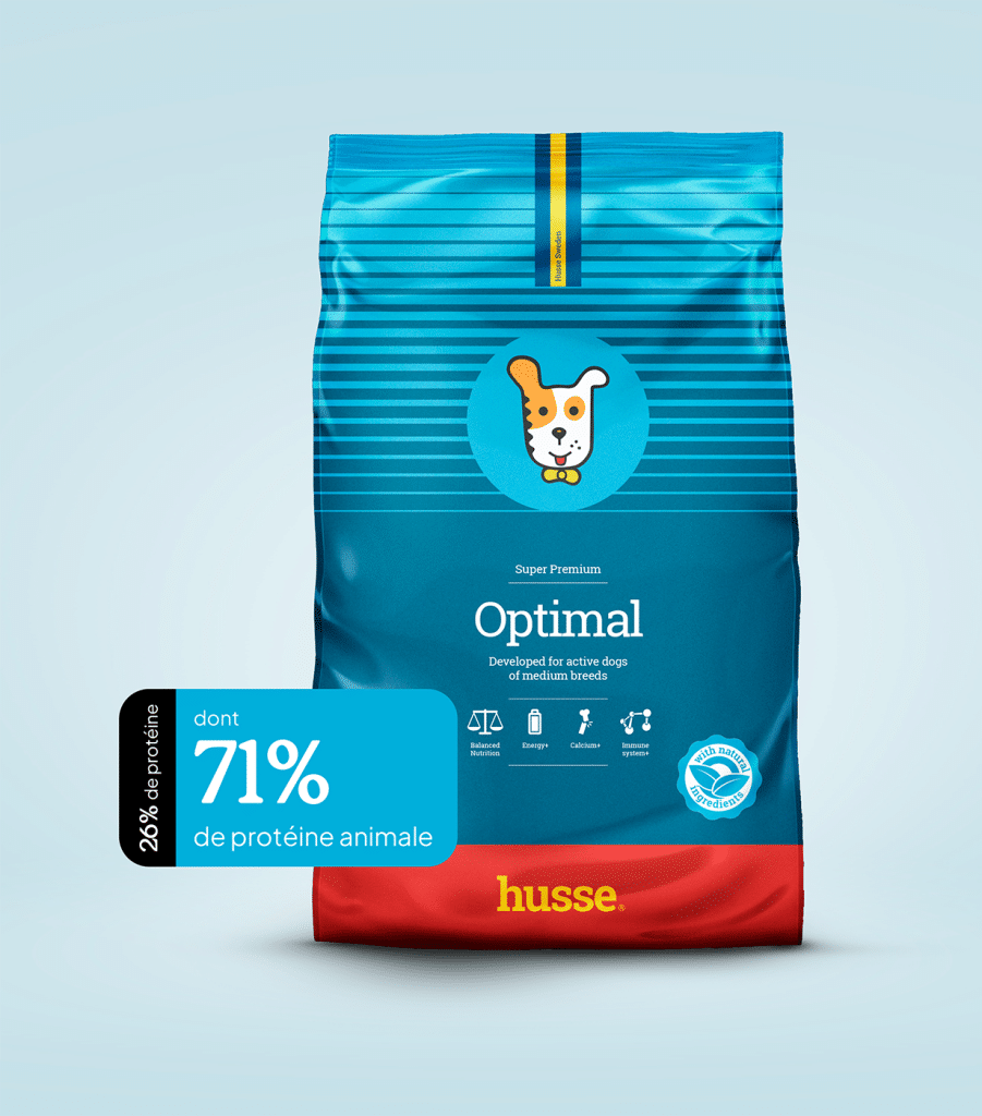 Produits, Matériel et Nourriture pour Chien en ligne - Husse