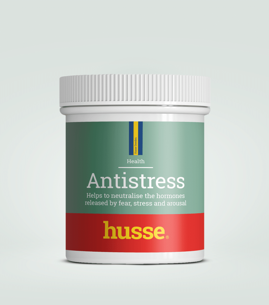 Produits, Matériel et Nourriture pour Chien en ligne - Husse