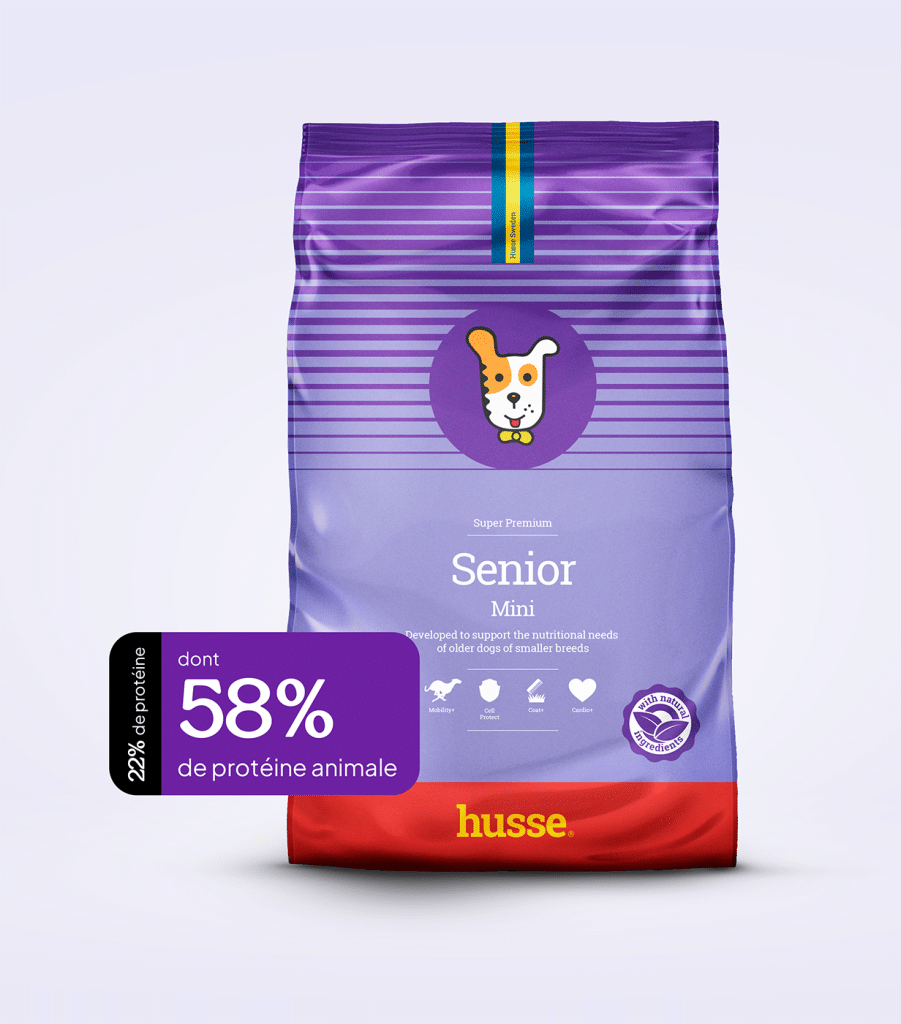 Croquettes pour Chien Livrées à Domicile - Husse