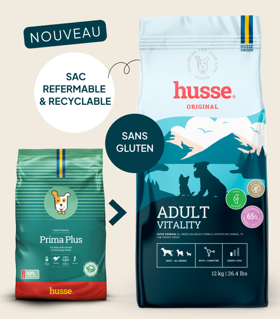 Produits, Matériel et Nourriture pour Chien en ligne - Husse