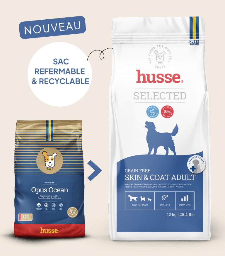 Chien à peau sensible - Husse